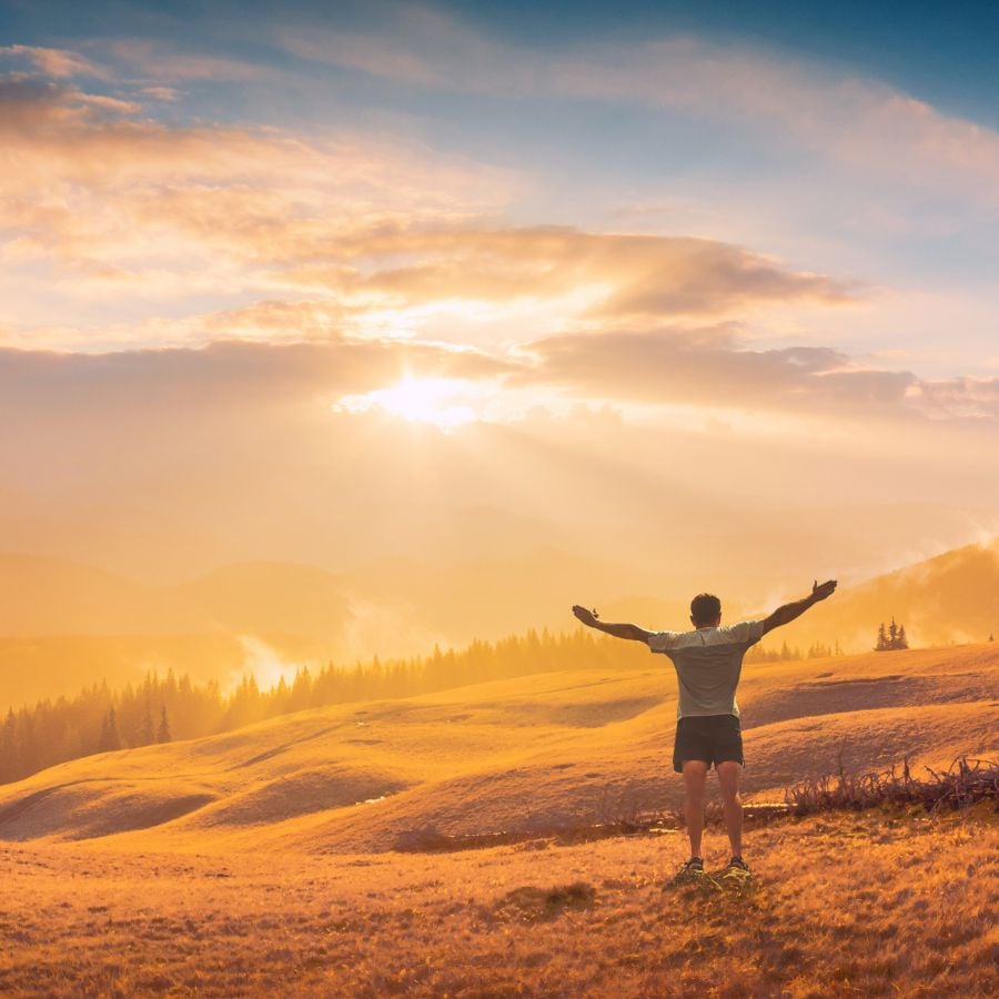 The Truth Will Make You Free | Catholic Answers Magazine