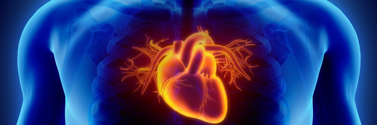 How to Love God with Your Heart of Flesh | Catholic Answers