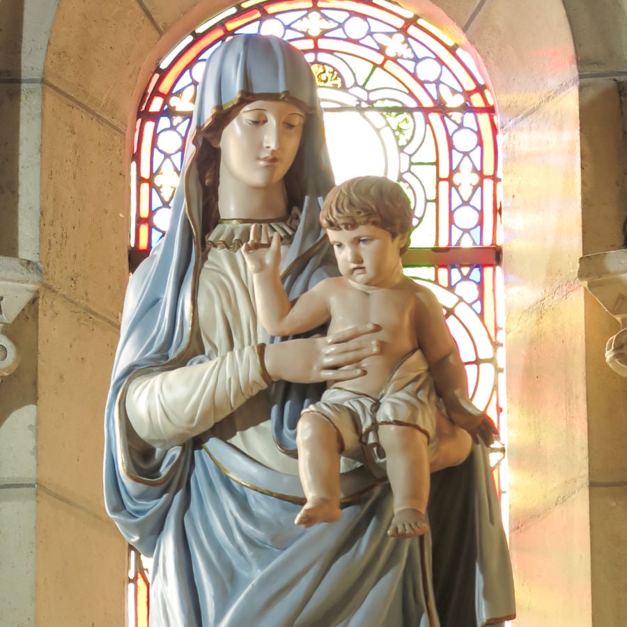 Missionaries of the Company of Mary | Catholic Answers Encyclopedia