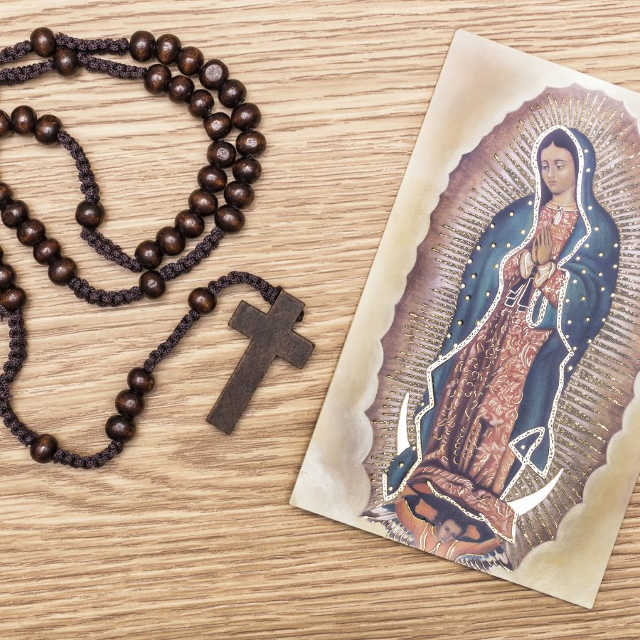 Mary Saves | Catholic Answers