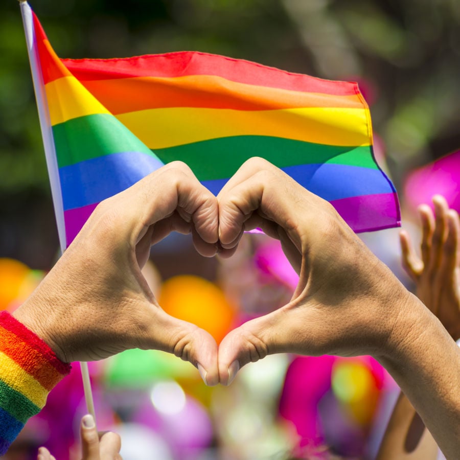 Same Sex Marriage Our Agreements Solve Our Disagreement Catholic
