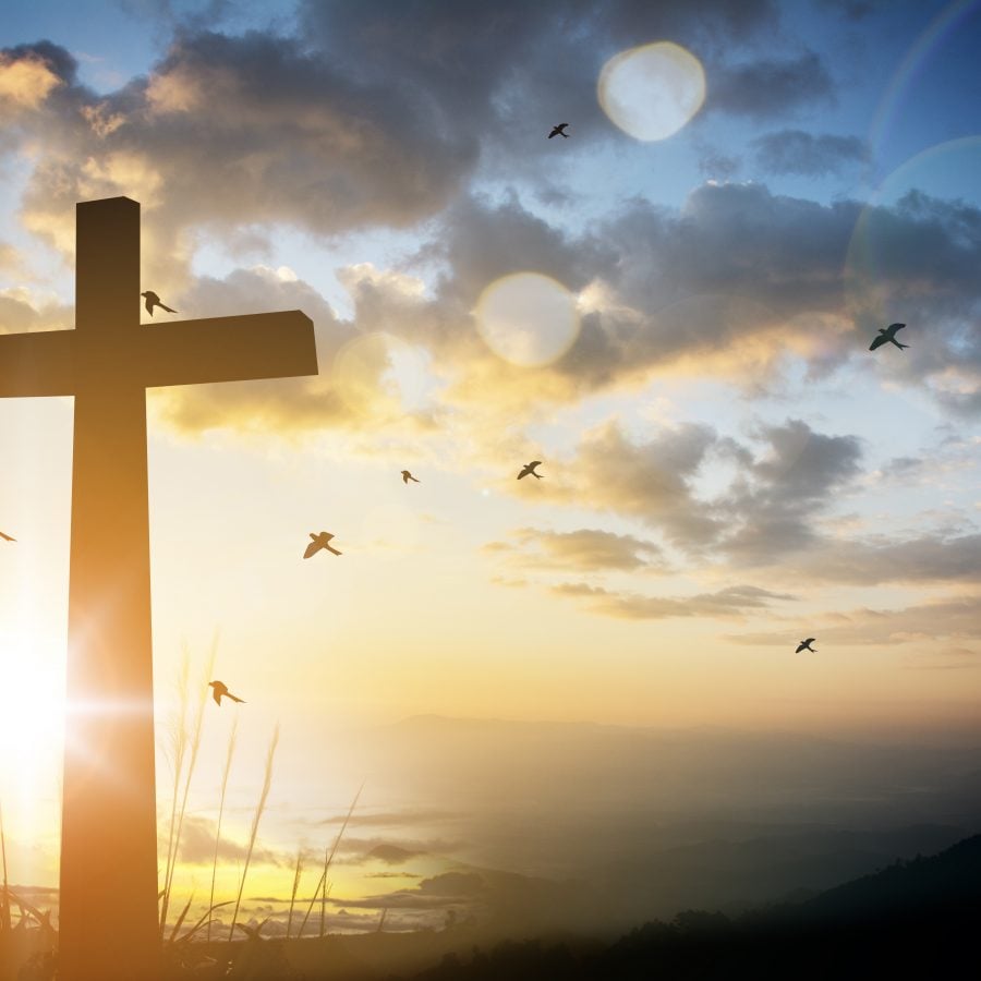 New Vatican Document on Salvation: Top Ten Things to Know | Catholic ...