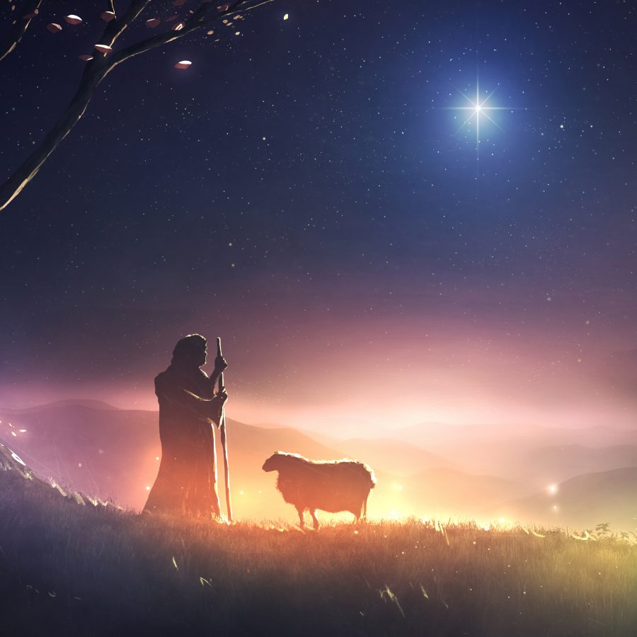 The Timing of Christmas | Catholic Answers Magazine