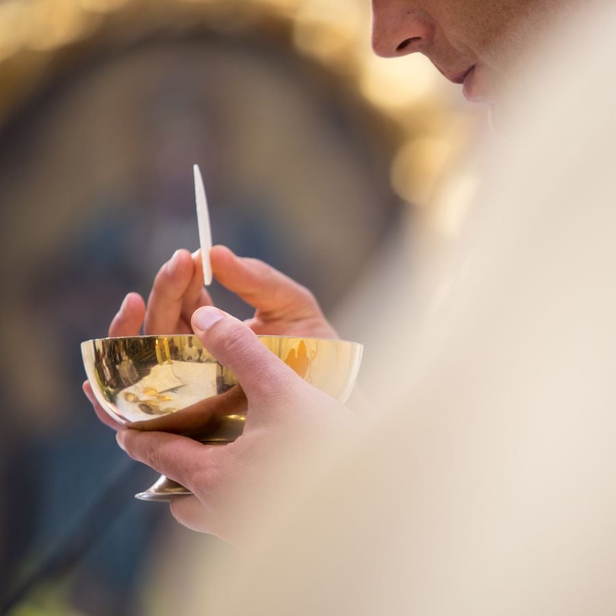 Is "Eucharistic Minister" the correct title for a layperson who ...