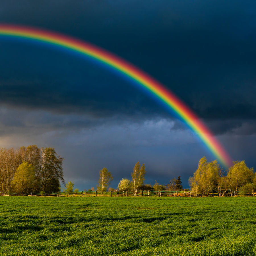 Pride and the Rainbow | Catholic Answers Magazine