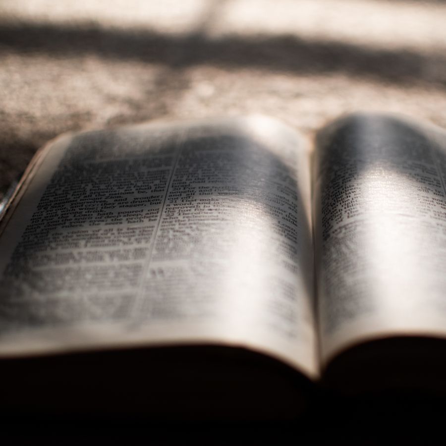 The Eucharist's Long Shadow Across the Bible | Catholic Answers Magazine