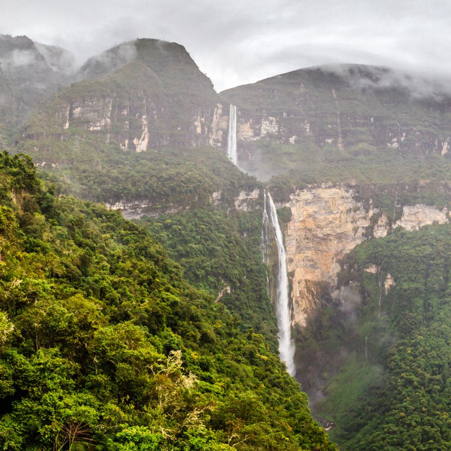 Just the Facts: the Amazon Synod | Catholic Answers Magazine