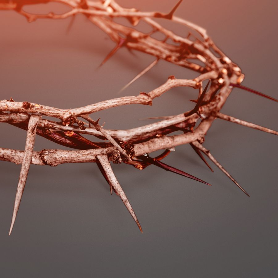 Praise the King of Mercy | Catholic Answers Magazine