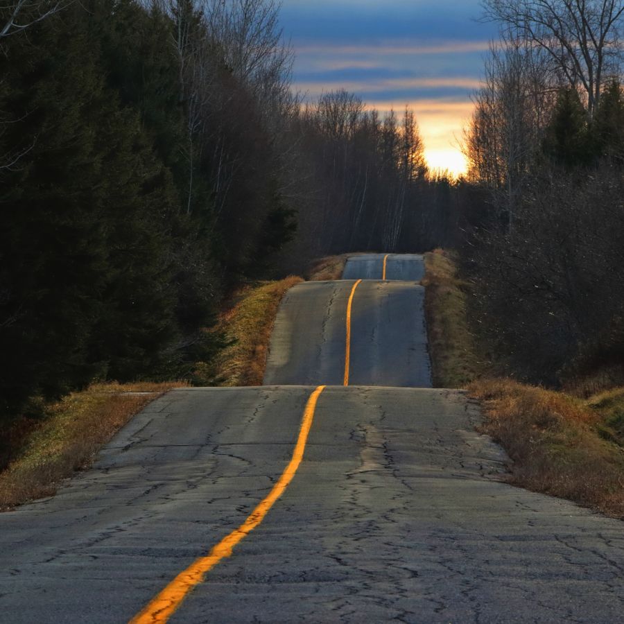 A Bumpy Road to Unity | Catholic Answers Magazine