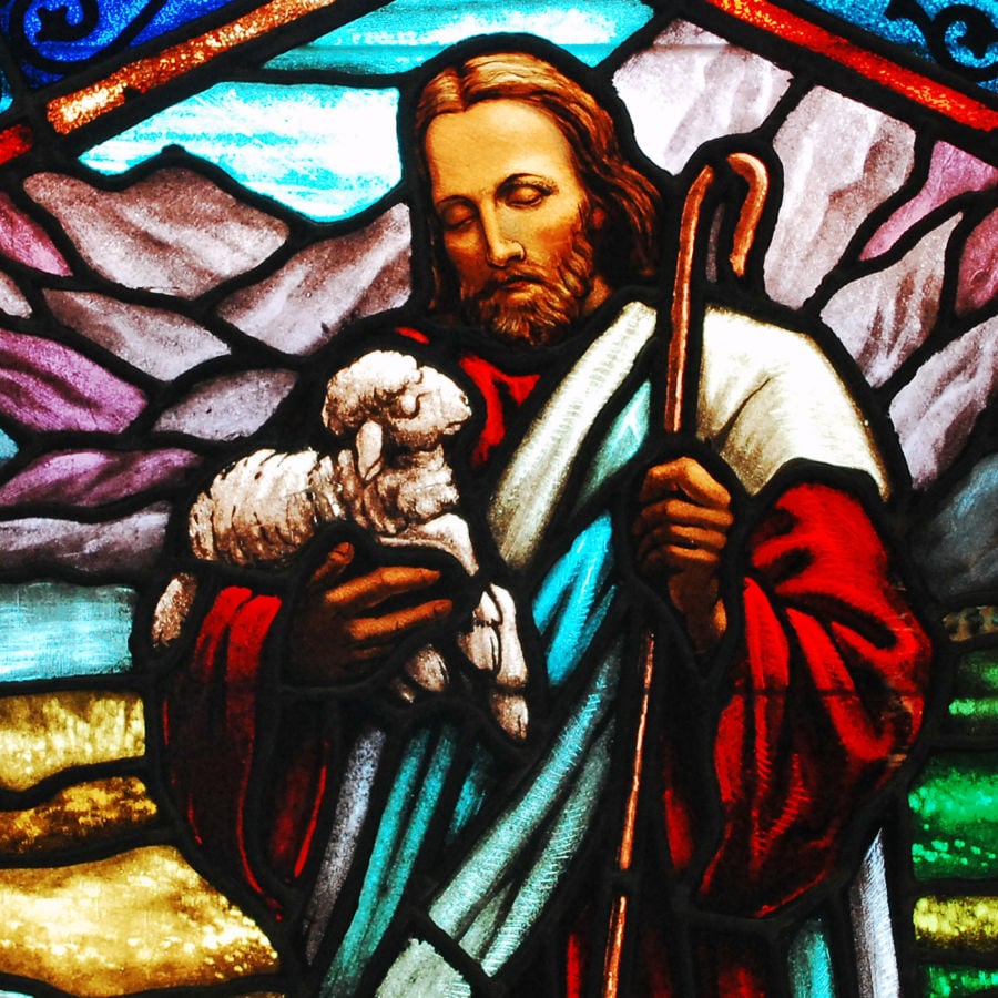 Was Jesus a vegetarian, as PETA claims? | Catholic Answers Q&A