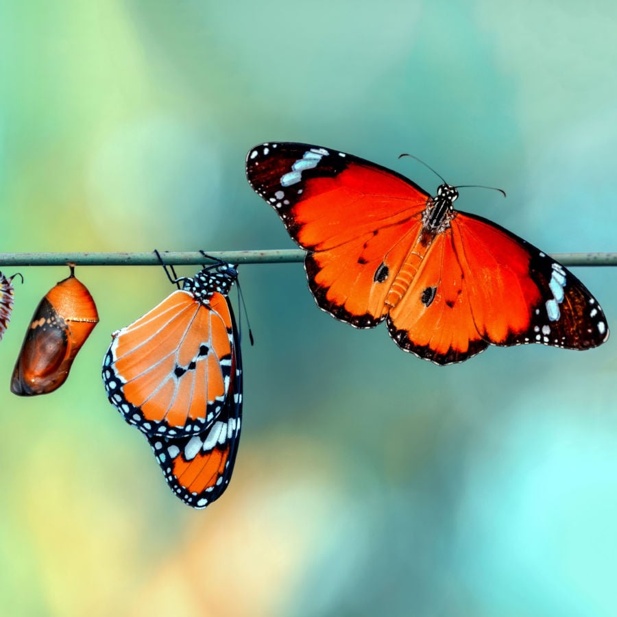 If God Became Man, Didn't God Change? | Catholic Answers Magazine