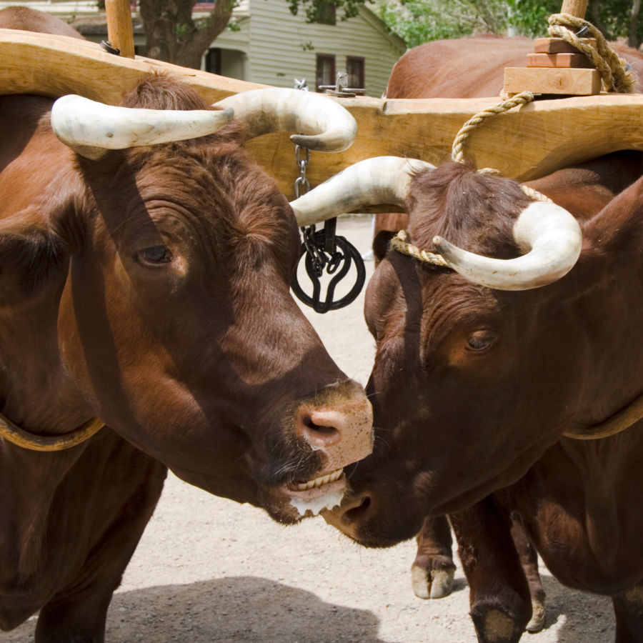 What Sin Does to the Sinner | Catholic Answers Magazine