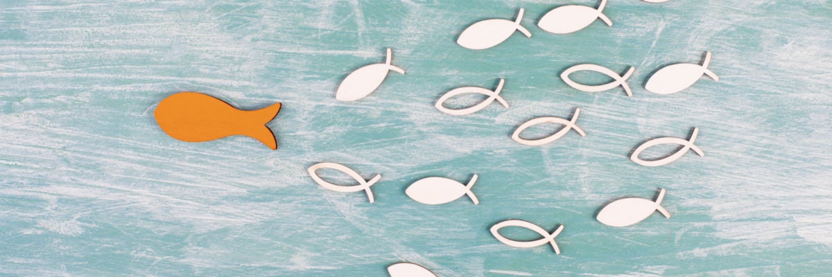 You Don't Have to Cure Cancer | Catholic Answers Magazine