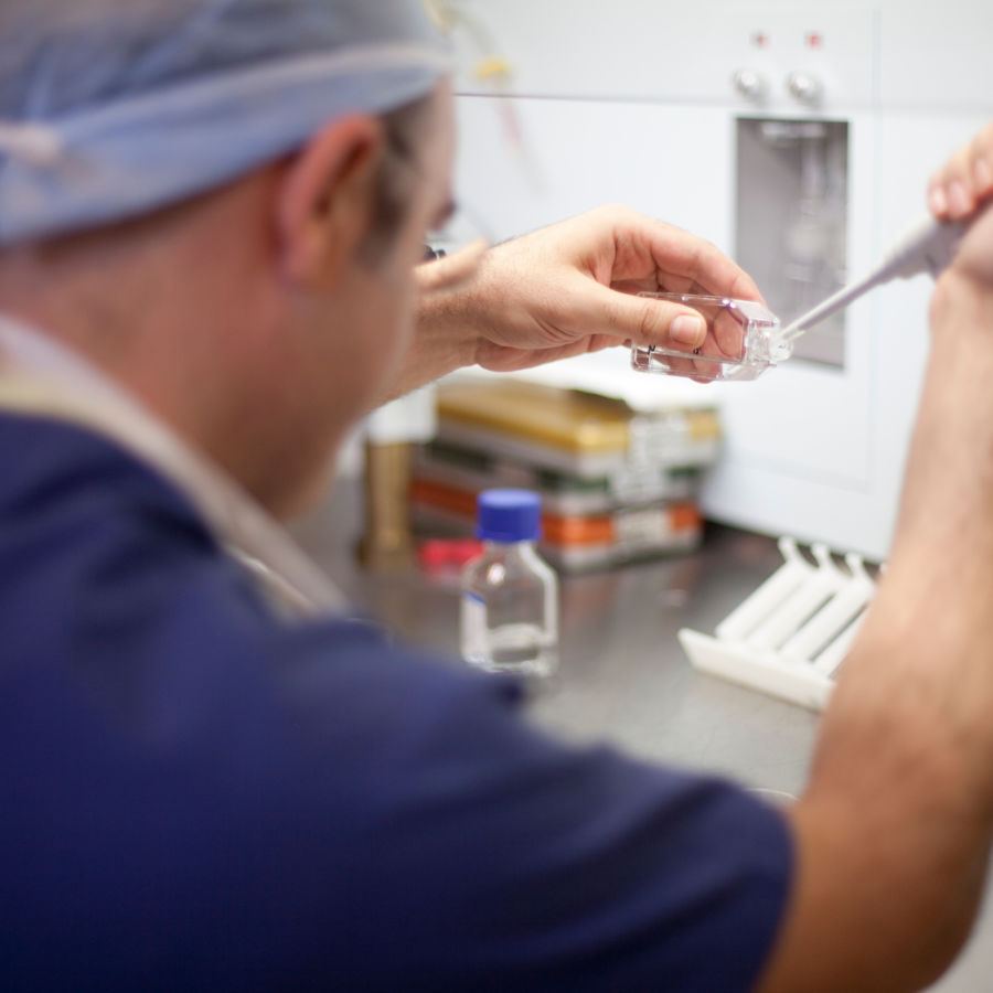 The Practice and Morality of In Vitro Fertilization | Catholic Answers ...