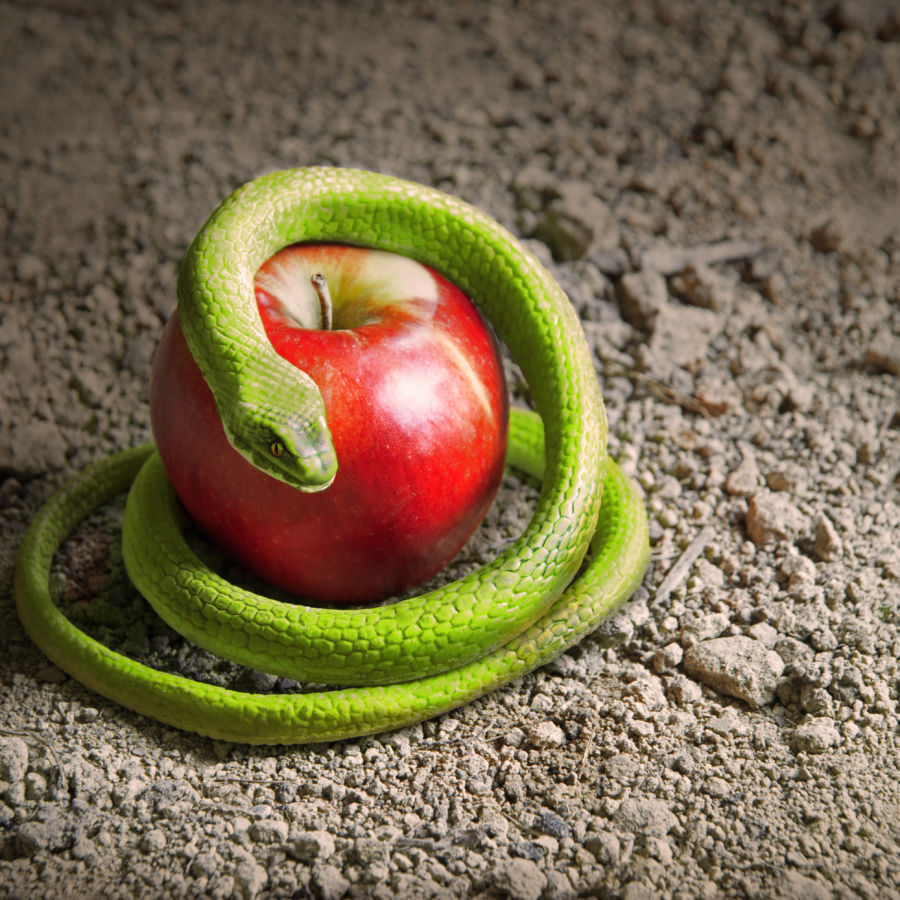 Genesis Is True | Catholic Answers Magazine