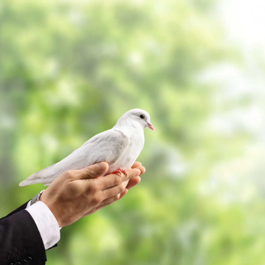 4 Steps to Be a Peacemaker | Catholic Answers Magazine