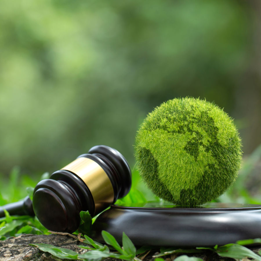 The Earth Is Made for Man | Catholic Answers Magazine