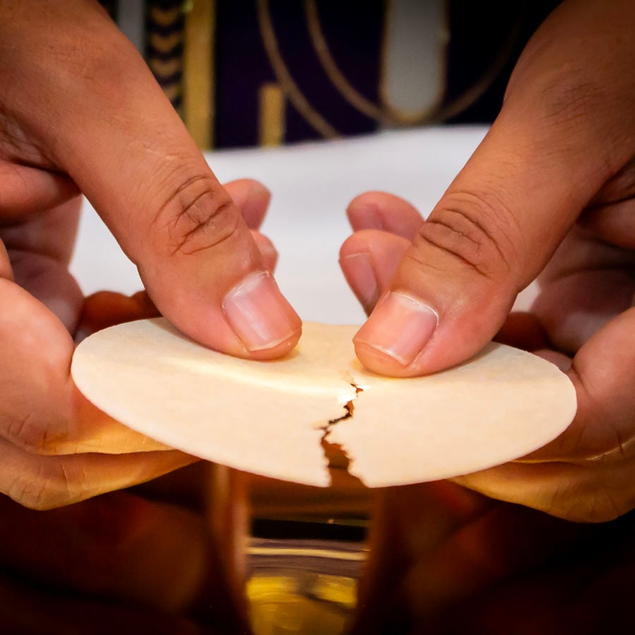 What Is the Eucharist? Catholic Answers Guide | Catholic Answers Tract