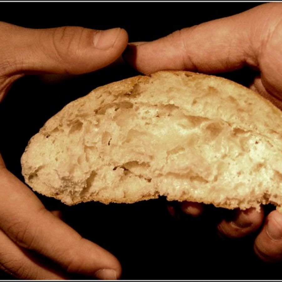 The Feeding of the Four Thousand | Catholic Answers Magazine