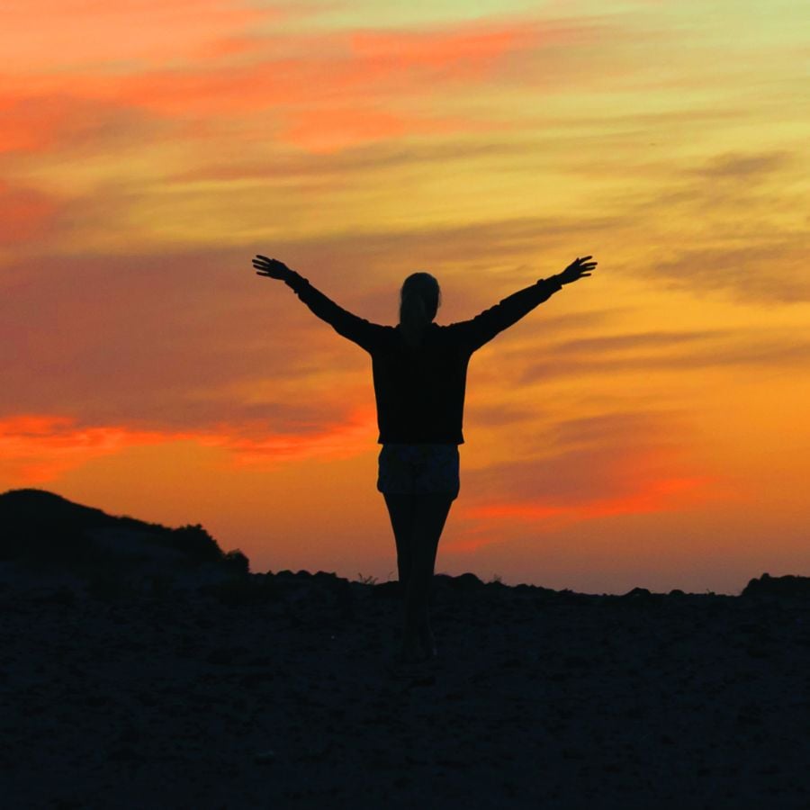 The Dragonfly and the Redeemer | Catholic Answers Magazine